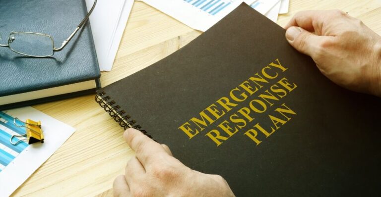 Recommendations for pharmacists in disaster and emergency management ...